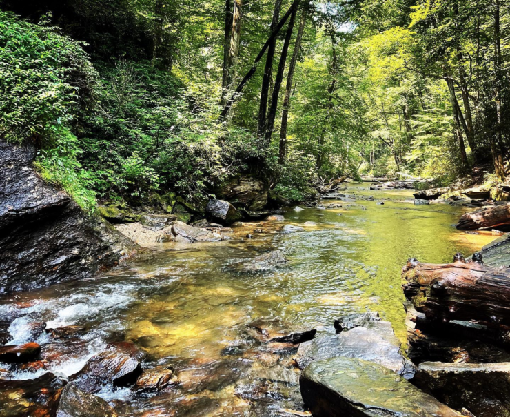 The Top 30 Trout Streams in North Carolina - Fishmasters.com
