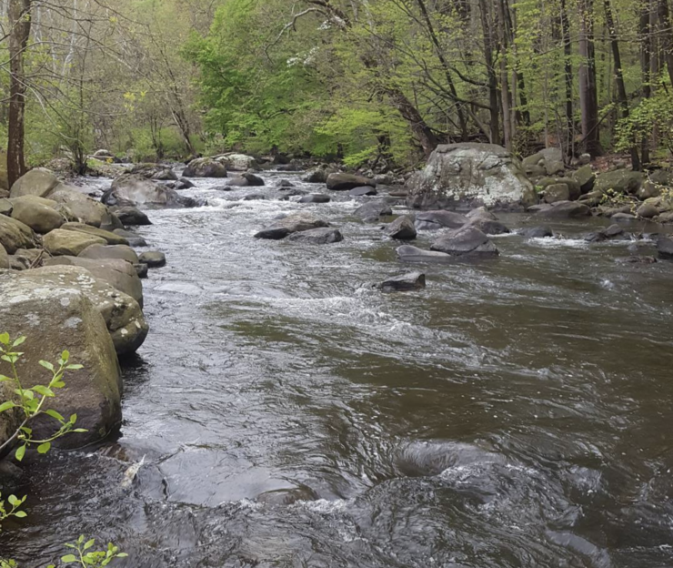 The Top 20 Trout Fishing Streams in New Jersey - Fishmasters.com