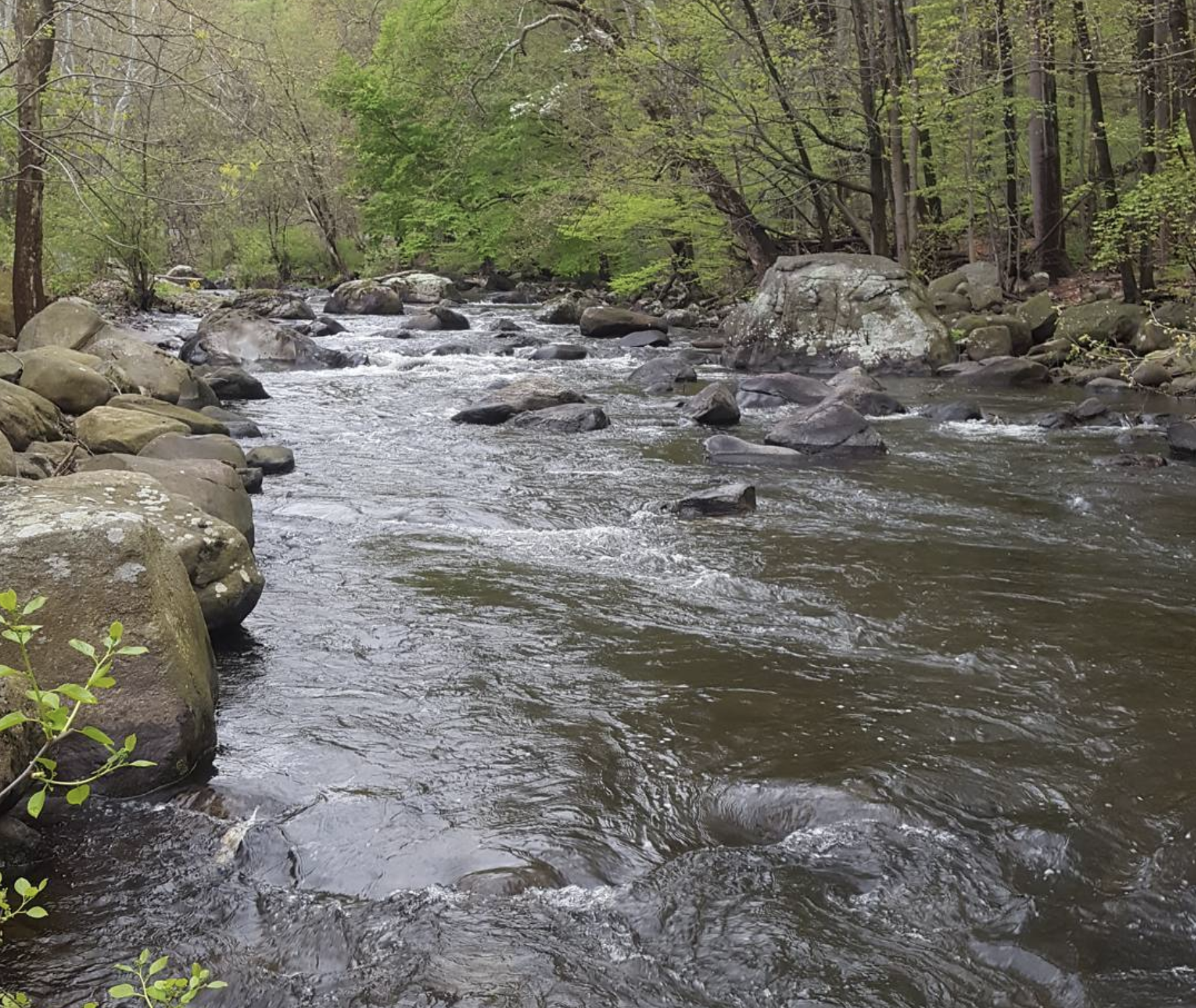 The Top 20 Trout Fishing Streams in New Jersey - Fishmasters.com