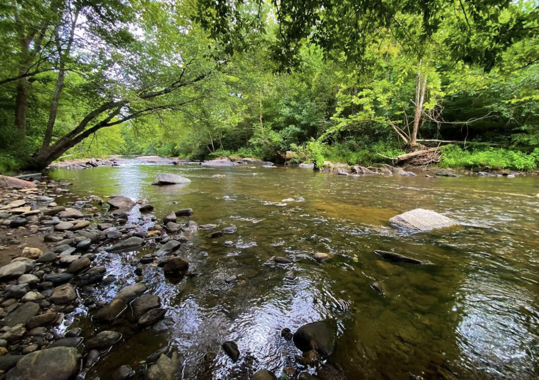 The Top 30 Trout Streams in Virginia - Fishmasters.com