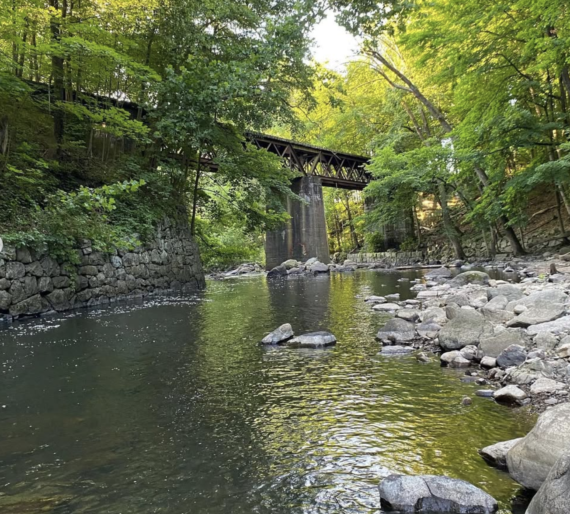 The Top 20 Trout Fishing Streams in New Jersey - Fishmasters.com