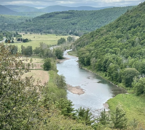 Top 30 Trout Fishing Streams in New York State - Fishmasters.com