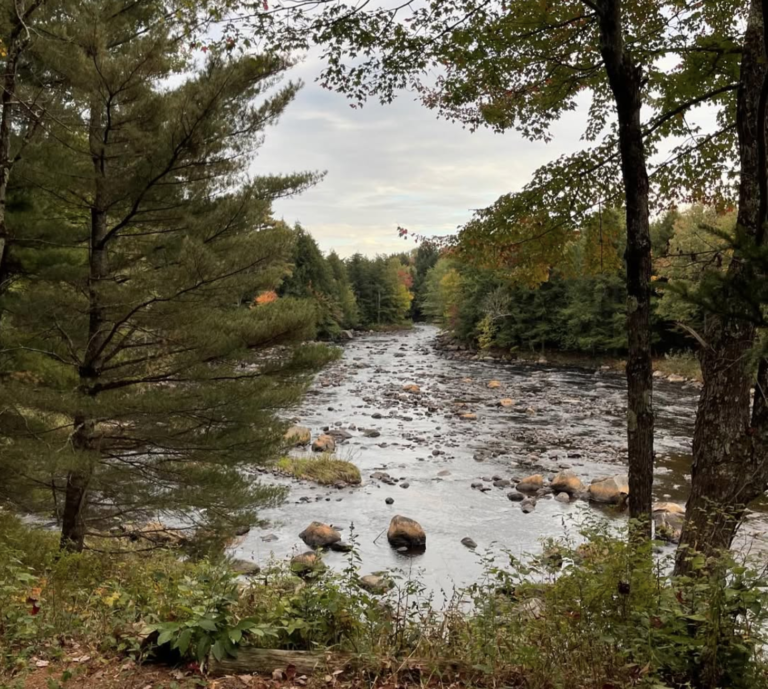 Top 30 Trout Fishing Streams in New York State - Fishmasters.com