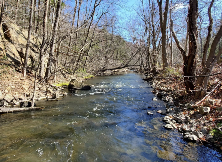 The Top 20 Trout Fishing Streams in New Jersey - Fishmasters.com