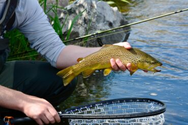 The Top 30 Trout Streams in Michigan - Fishmasters.com