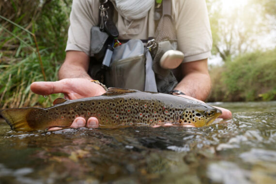 The Top 30 Trout Streams in Michigan - Fishmasters.com