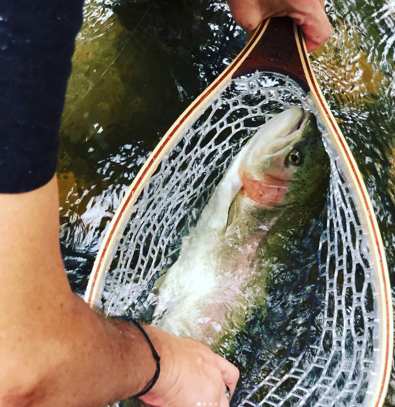 The Top 30 Trout Streams in North Carolina - Fishmasters.com