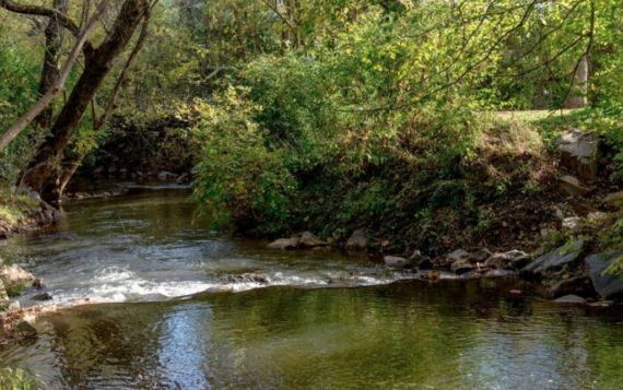 The Top 30 Trout Streams in Virginia - Fishmasters.com