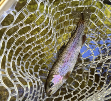 Top 30 Trout Streams in California - Fishmasters.com