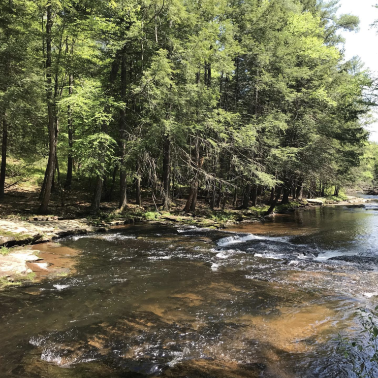 Top 30 Trout Fishing Streams in New York State - Fishmasters.com