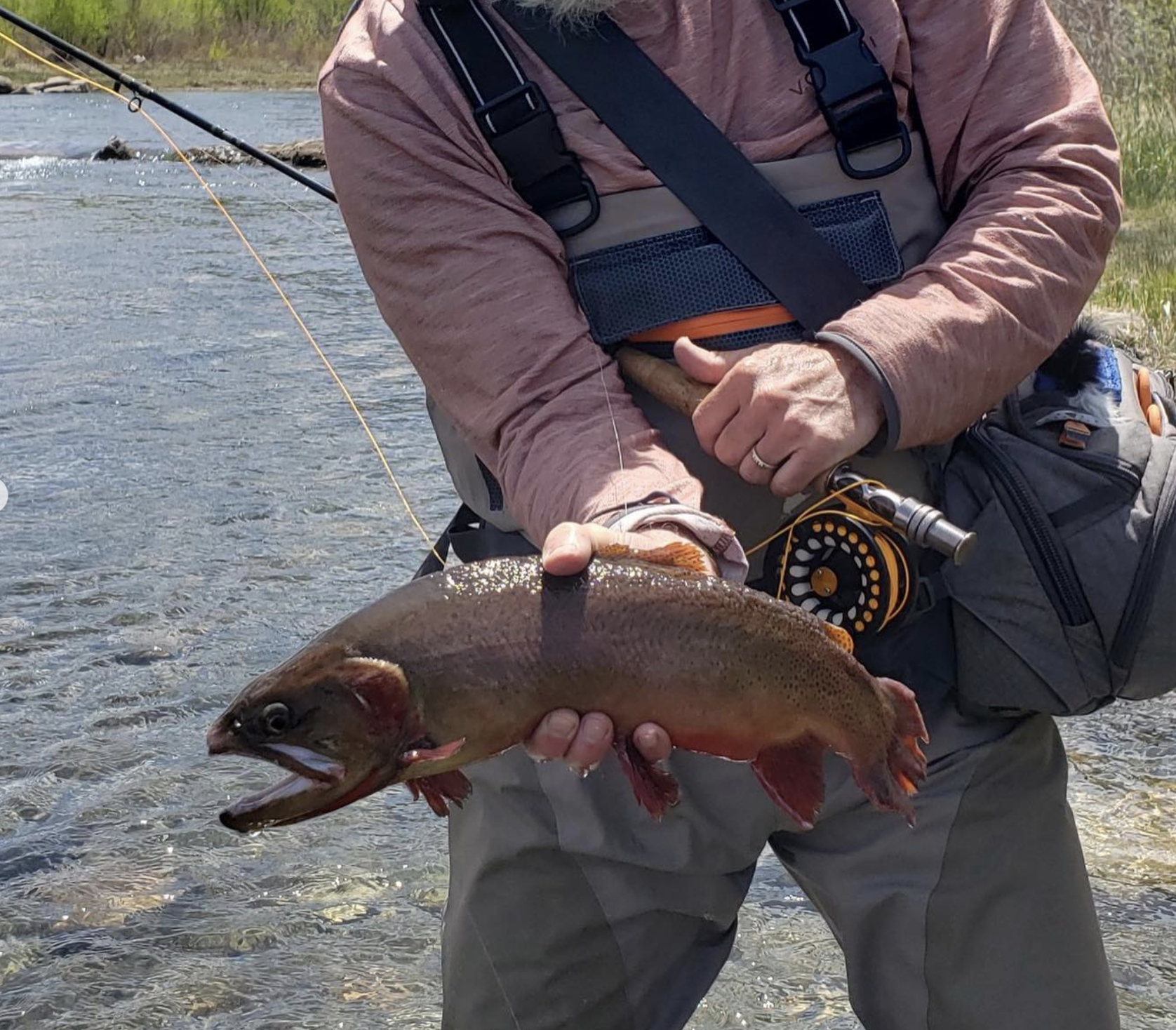 Top 30 Trout Fishing Streams in Colorado - Fishmasters.com
