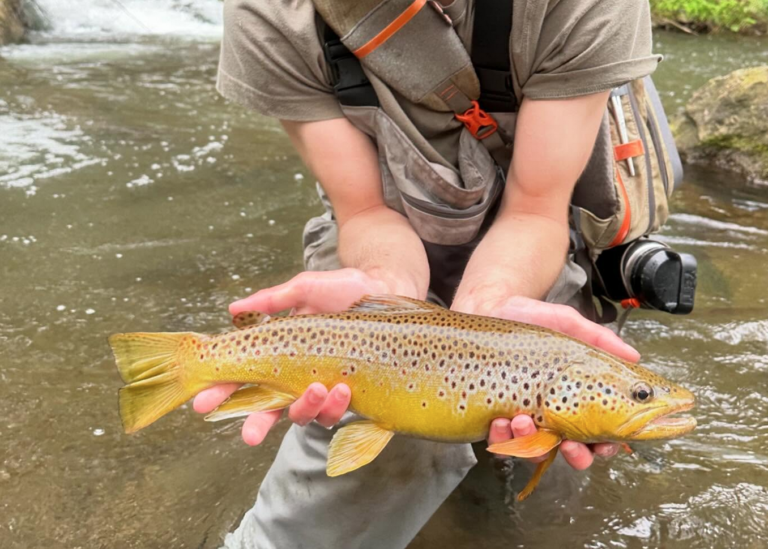 The Top 30 Trout Streams in Michigan - Fishmasters.com