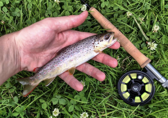Top 30 Trout Fishing Streams in New York State - Fishmasters.com