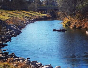 The Top 30 Trout Streams in Michigan - Fishmasters.com