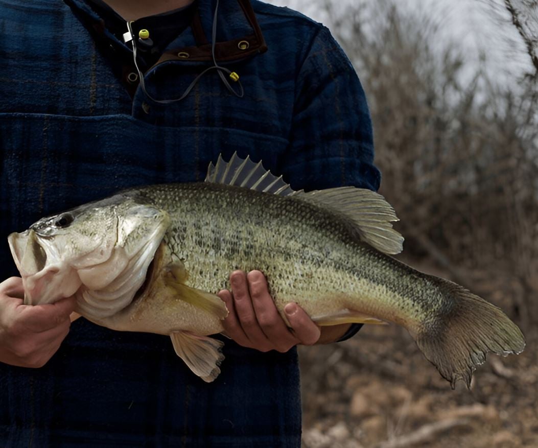The Top 30 Fishing Lakes In Indiana Fishmasters