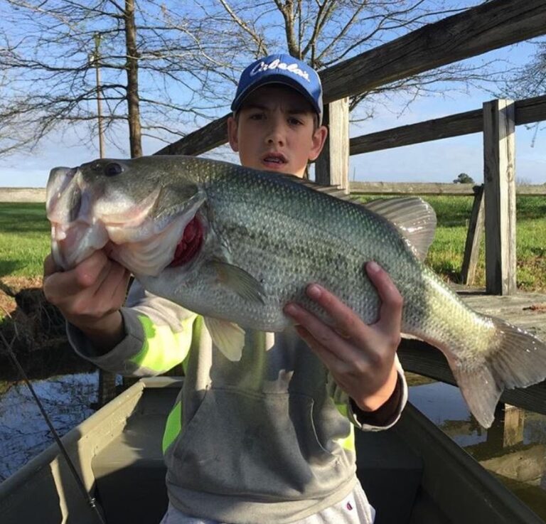 The Top 30 Fishing Lakes in Alabama Ranked - Fishmasters.com