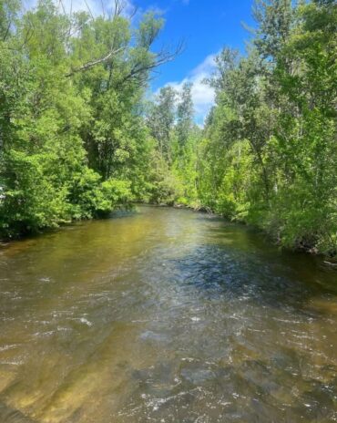 The Top 30 Trout Streams in Michigan - Fishmasters.com