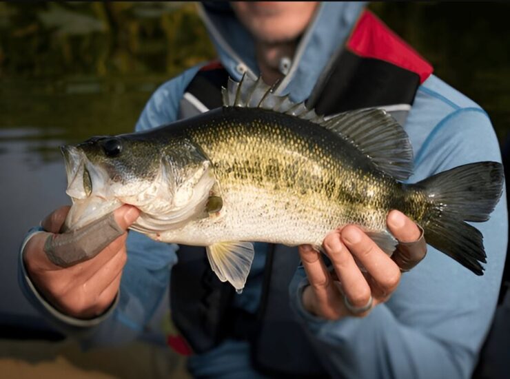 The Top 30 Fishing Lakes in Kansas Ranked - Fishmasters.com