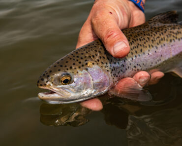The Top 30 Fishing Lakes in New Jersey Ranked - Fishmasters.com