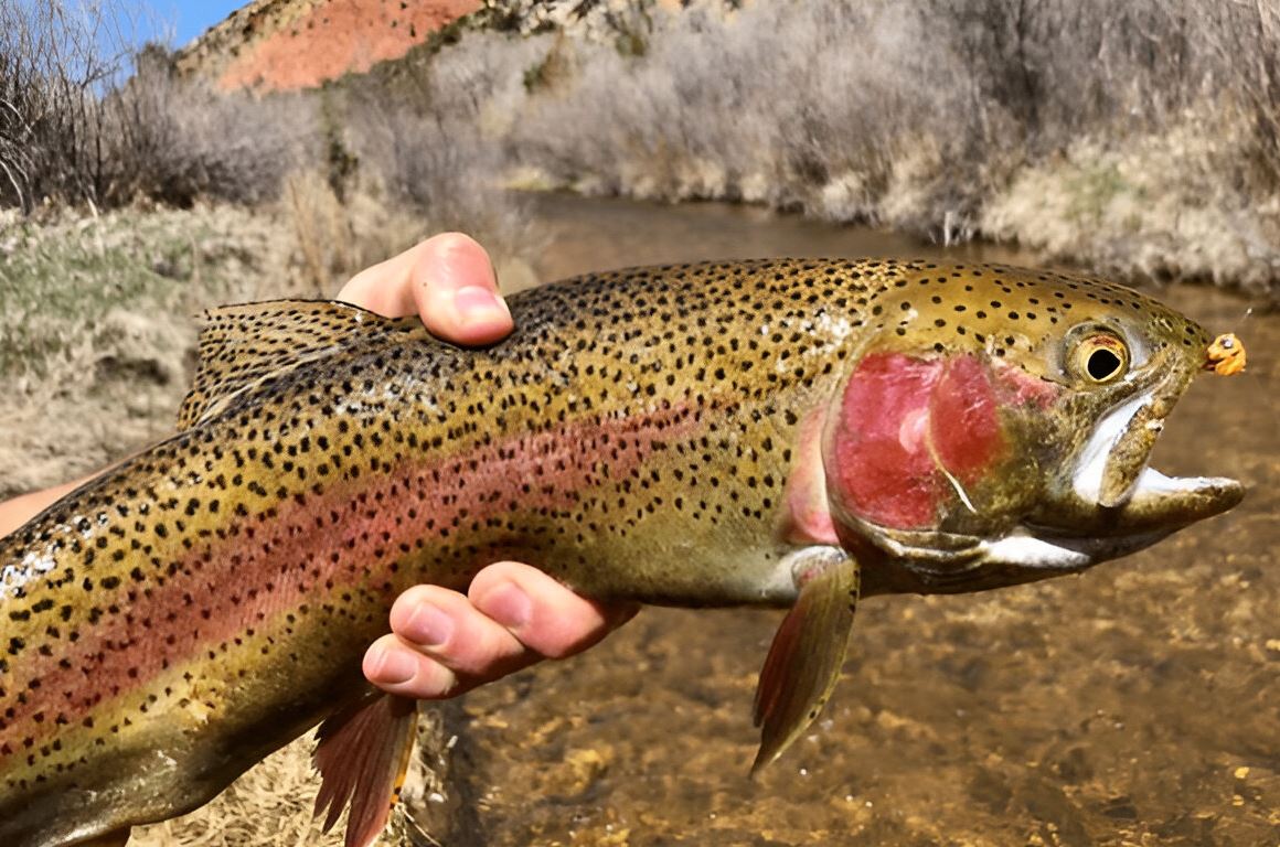 The Top 30 Fishing Lakes in Oregon Ranked - Fishmasters.com