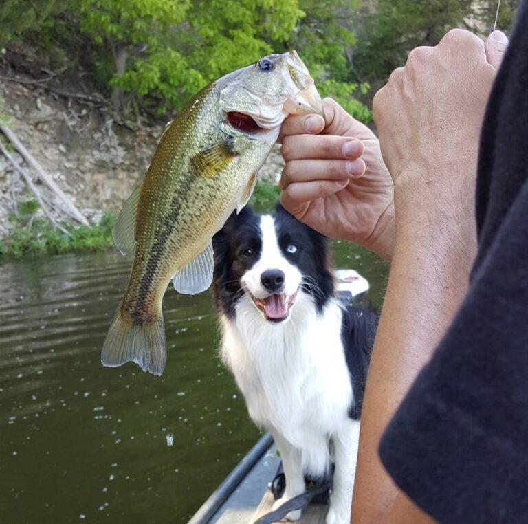 The Top 30 Fishing Lakes in Kansas Ranked - Fishmasters.com