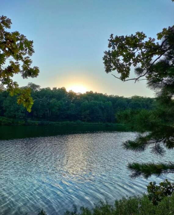 The Top 30 Fishing Lakes in Arkansas Ranked - Fishmasters.com