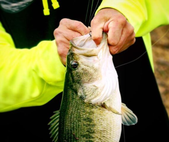 The Top 30 Fishing Lakes in Virginia Ranked - Fishmasters.com
