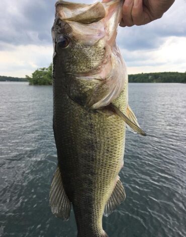 The Top 30 Fishing Lakes in Connecticut Ranked - Fishmasters.com