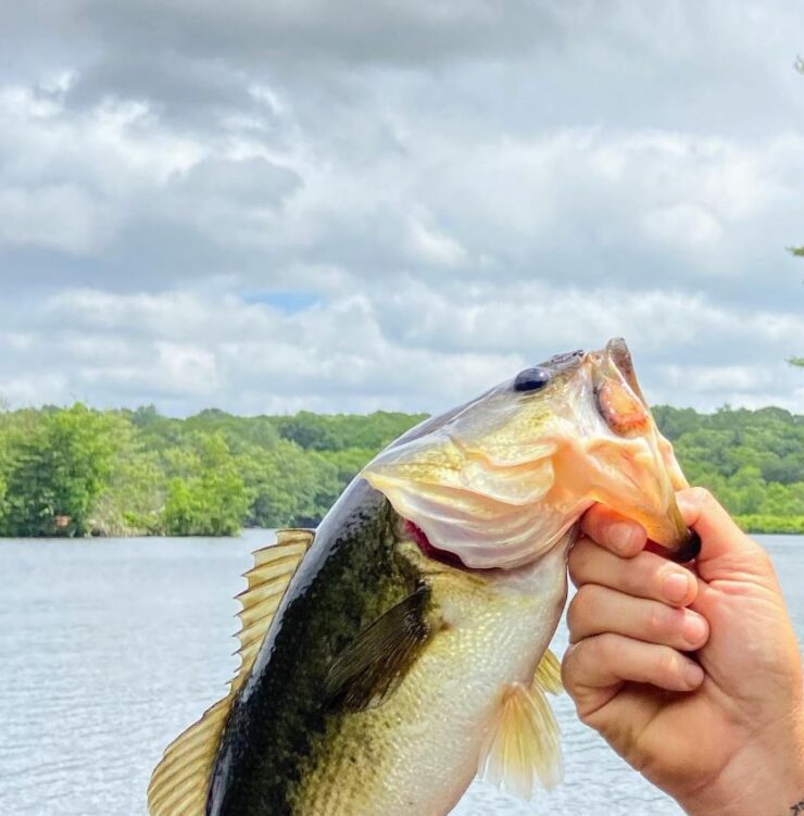 The Top 30 Fishing Lakes in Rhode Island Ranked - Fishmasters.com