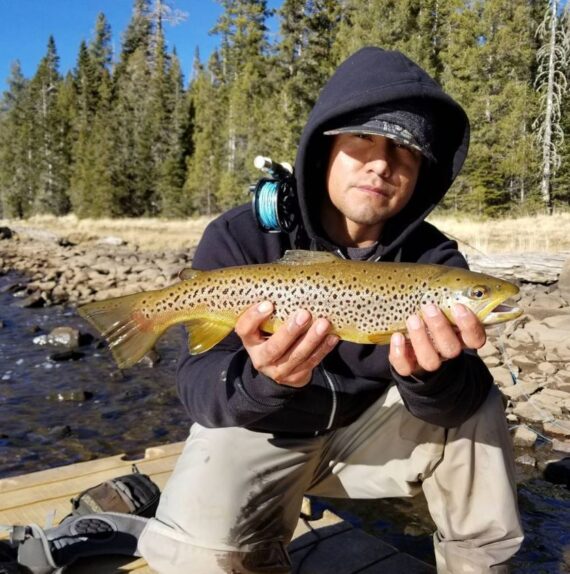 The Top 30 Fishing Lakes in Arizona Ranked - Fishmasters.com