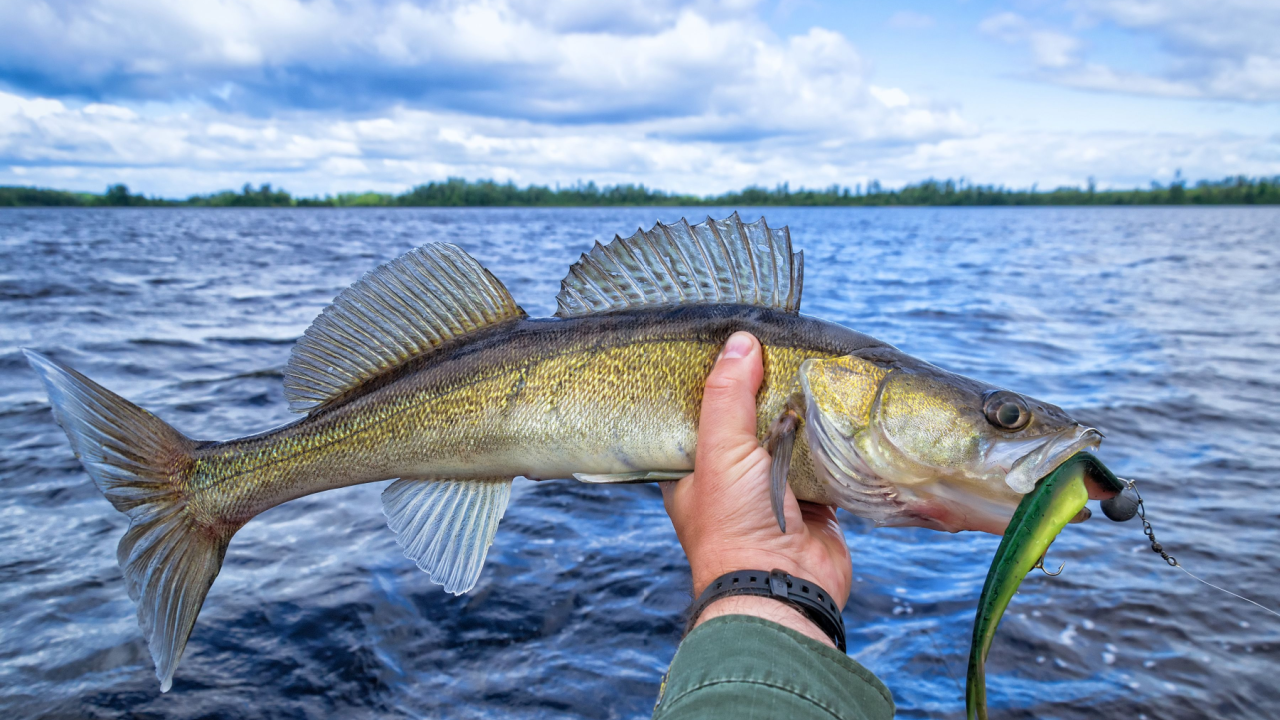 The Top 30 Fishing Lakes in North Dakota Ranked - Fishmasters.com